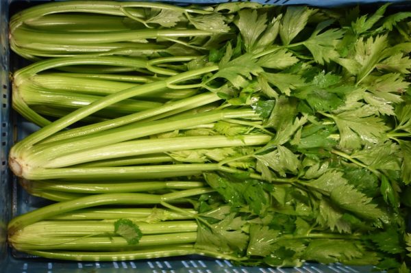 Groene selder - staging balé